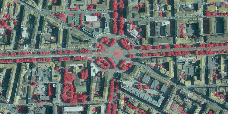 Nature in the city. Nature in Torino - Urban Lab Torino