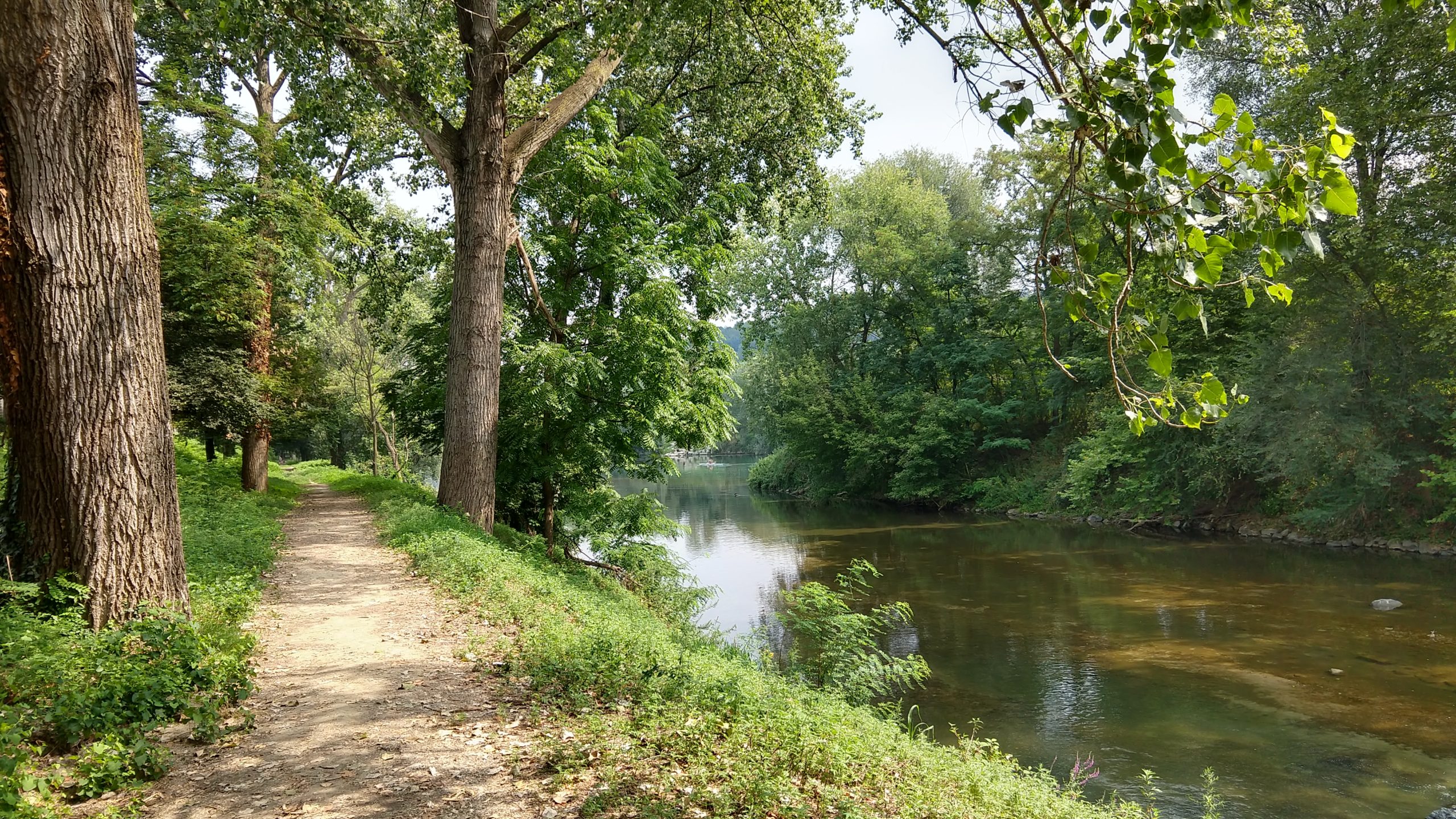 Through urban green paths - Urban Lab Torino